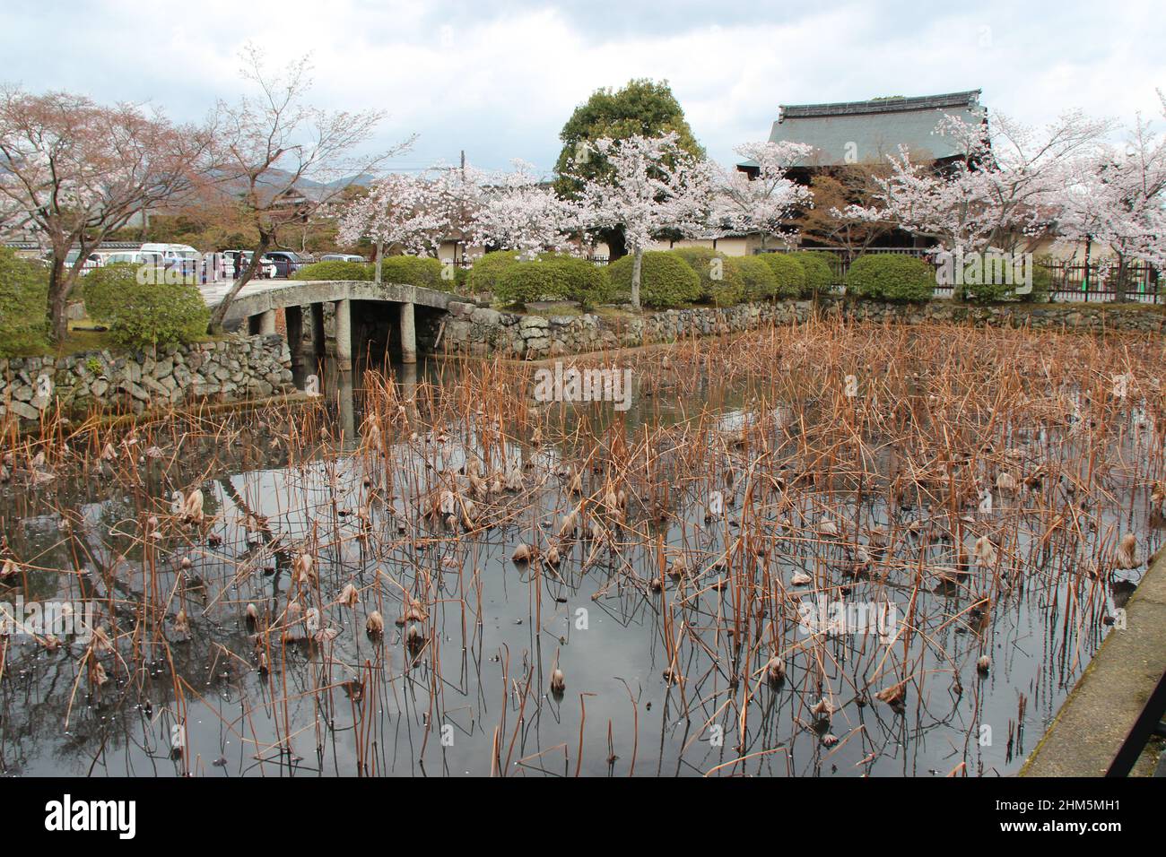 Bassin japonais hi-res stock photography and images - Alamy