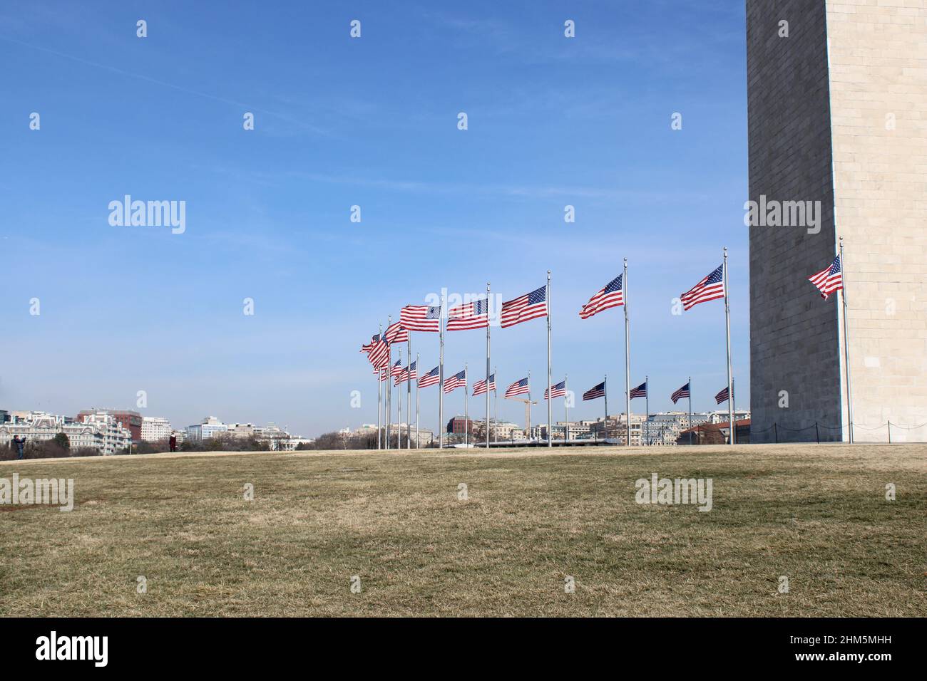 American flags surrounding the Washington Monument, Washington, DC, USA ...