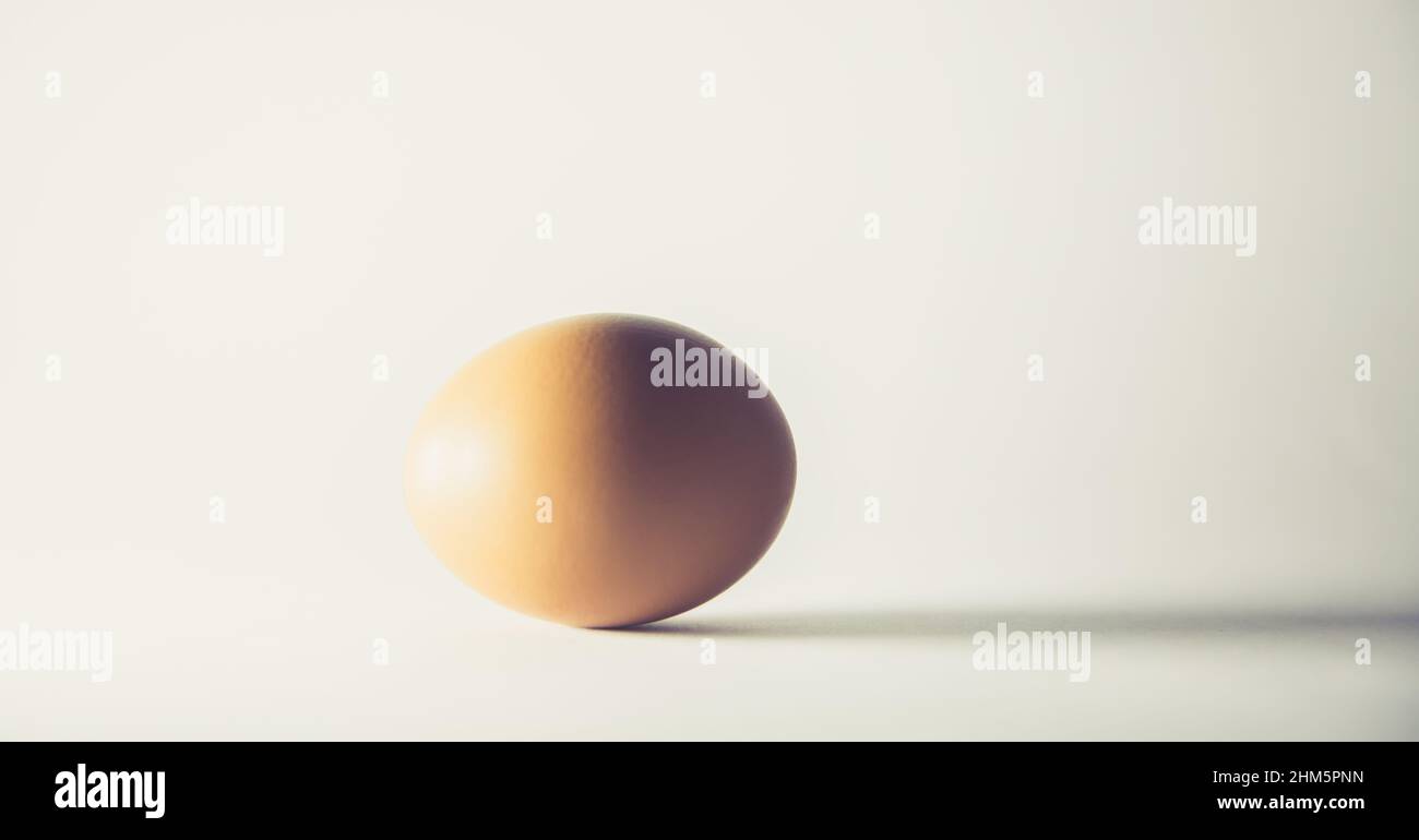 Single brown egg isolated from white background. Concept. Close-up ...