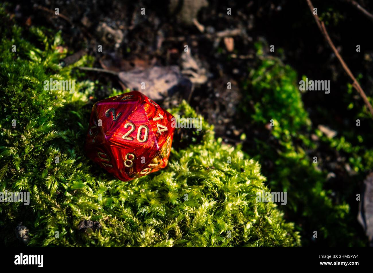 Green d20 die hi-res stock photography and images - Alamy