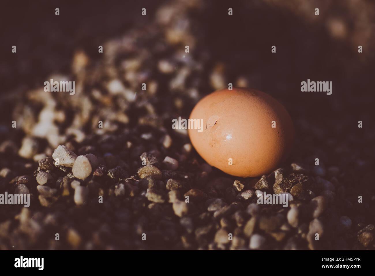 Chicken eggs cracked on ground. Close-up. Above Stock Photo - Alamy