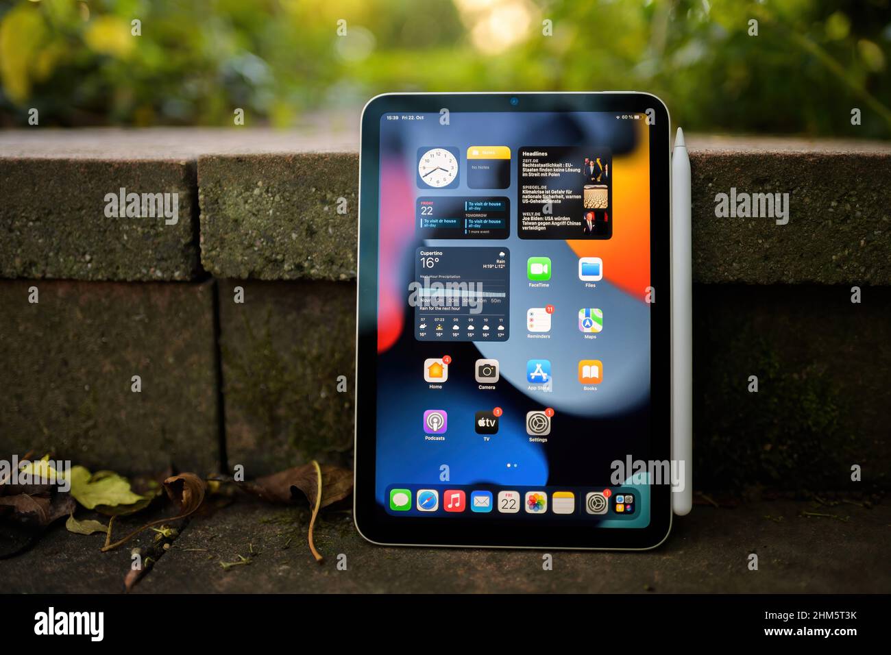 Ipad Mini Front View