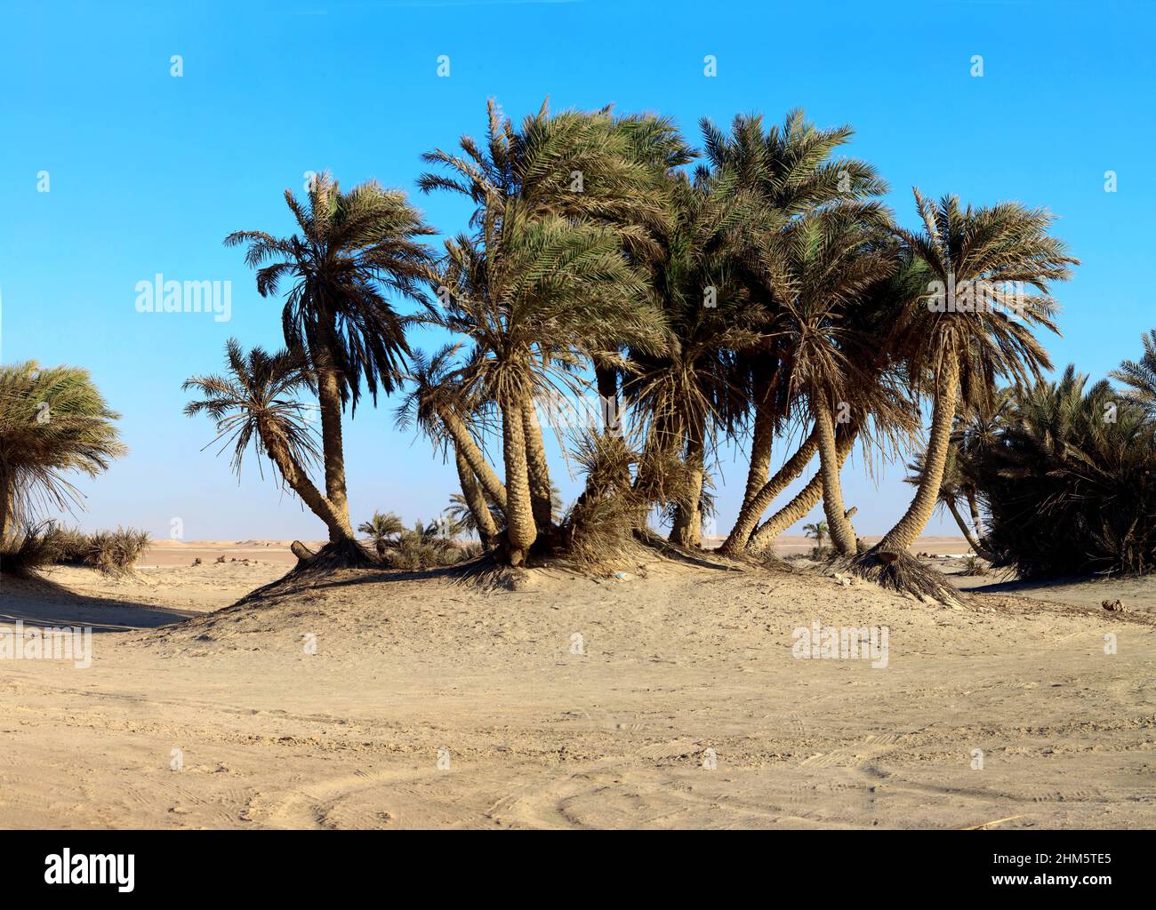 Beautifull view of Umm Bab beach QATAR Stock Photo - Alamy