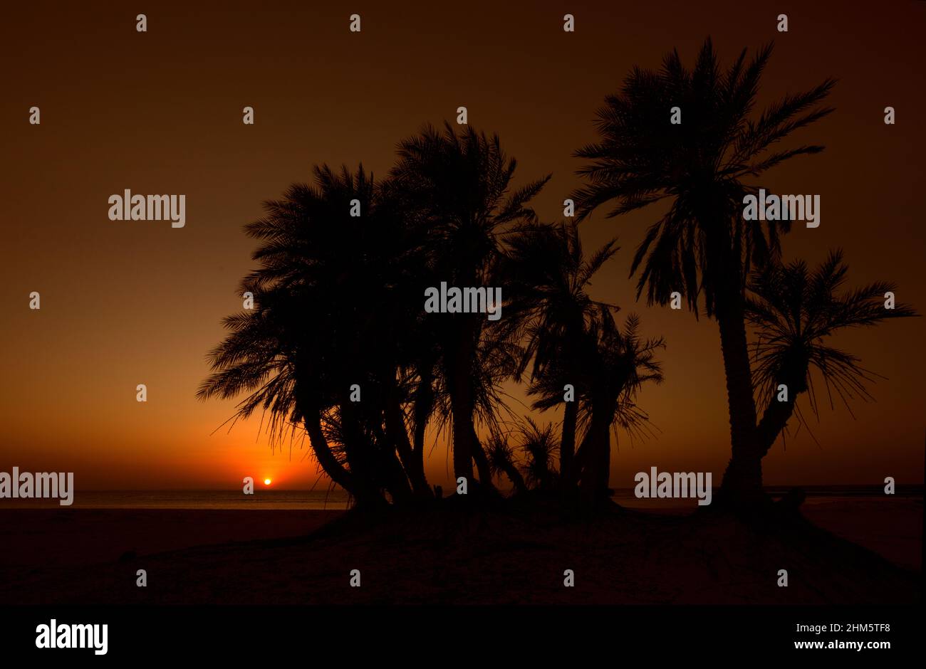 Beautifull view of Umm Bab beach QATAR Stock Photo - Alamy