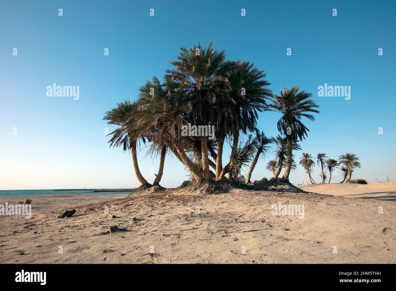 Dominican qatar hi-res stock photography and images - Alamy