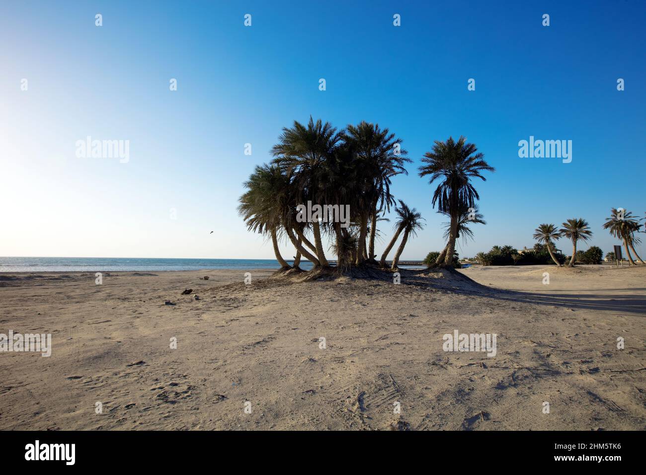 Beautifull view of Umm Bab beach QATAR Stock Photo - Alamy