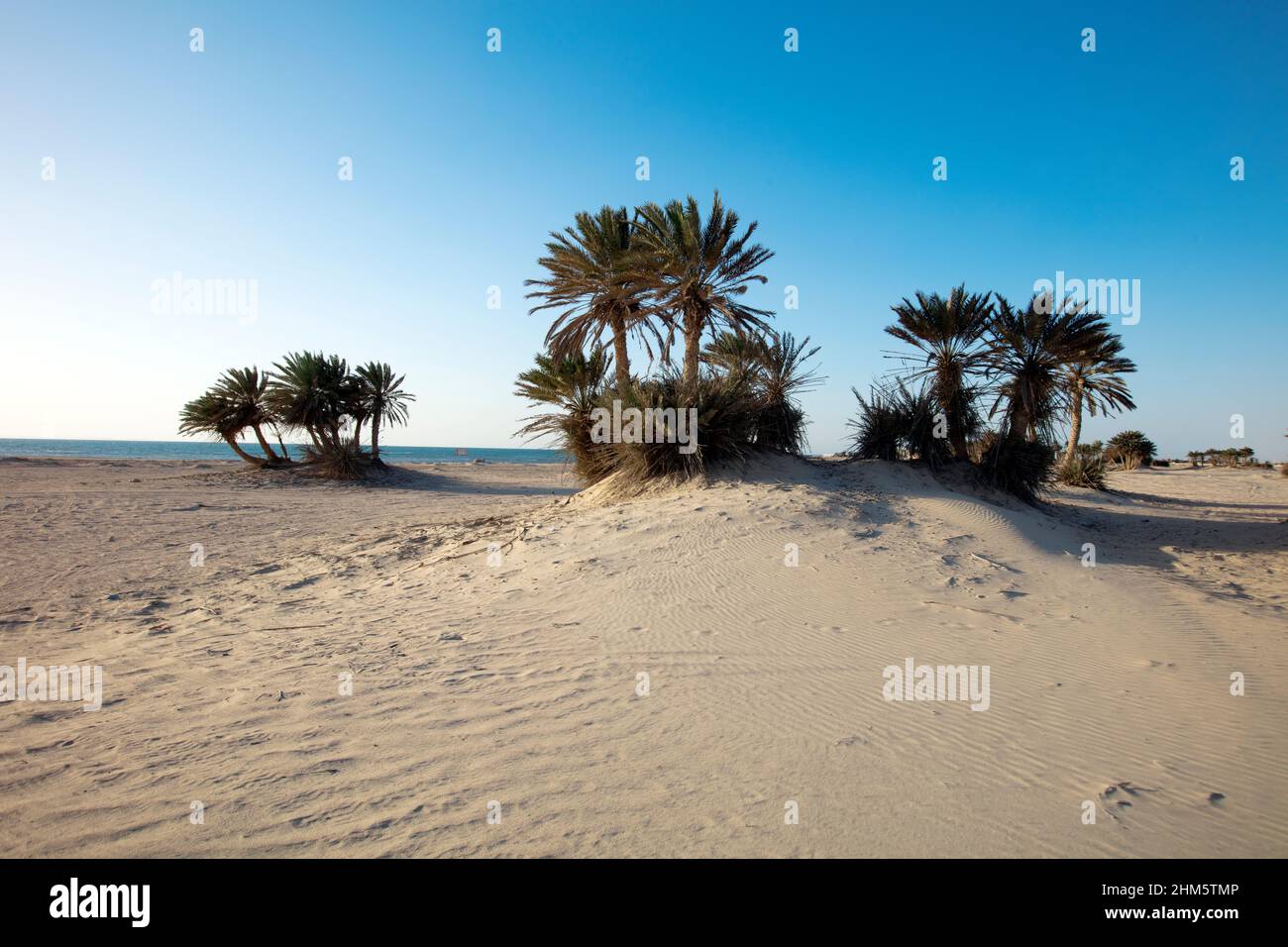 Beautifull view of Umm Bab beach QATAR Stock Photo - Alamy