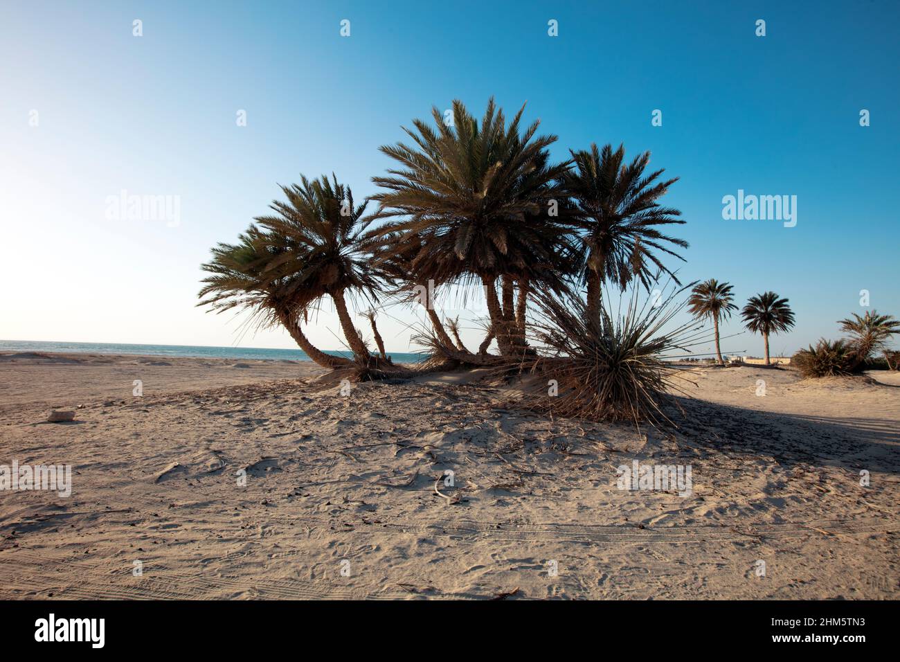 Beautifull view of Umm Bab beach QATAR Stock Photo - Alamy