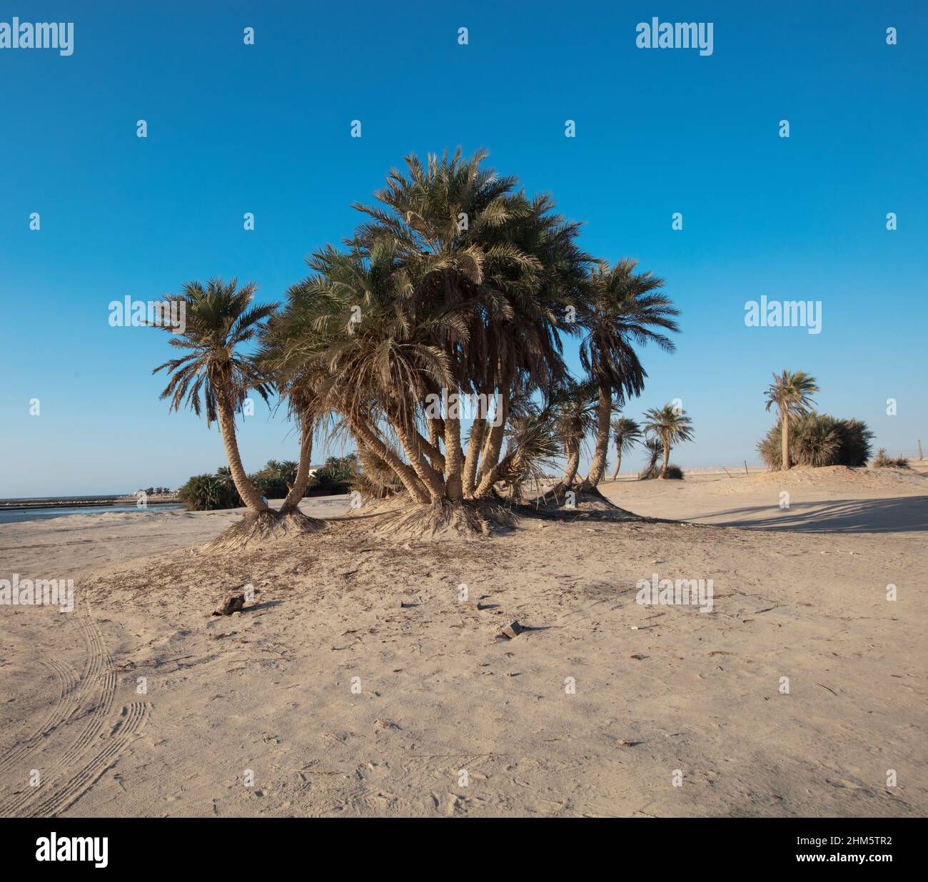 Beautifull view of Umm Bab beach QATAR Stock Photo - Alamy