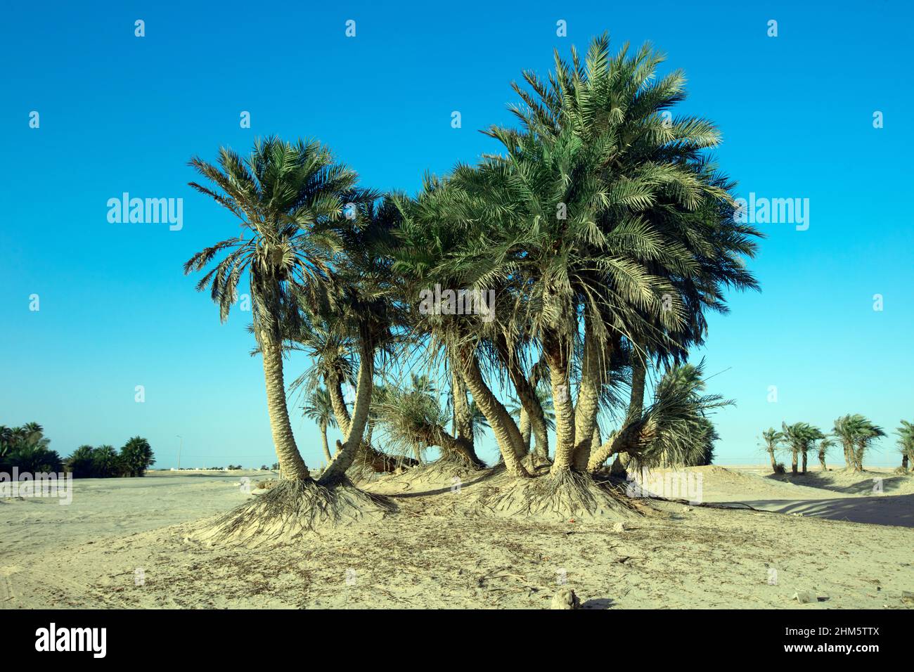 Beautifull view of Umm Bab beach QATAR Stock Photo - Alamy