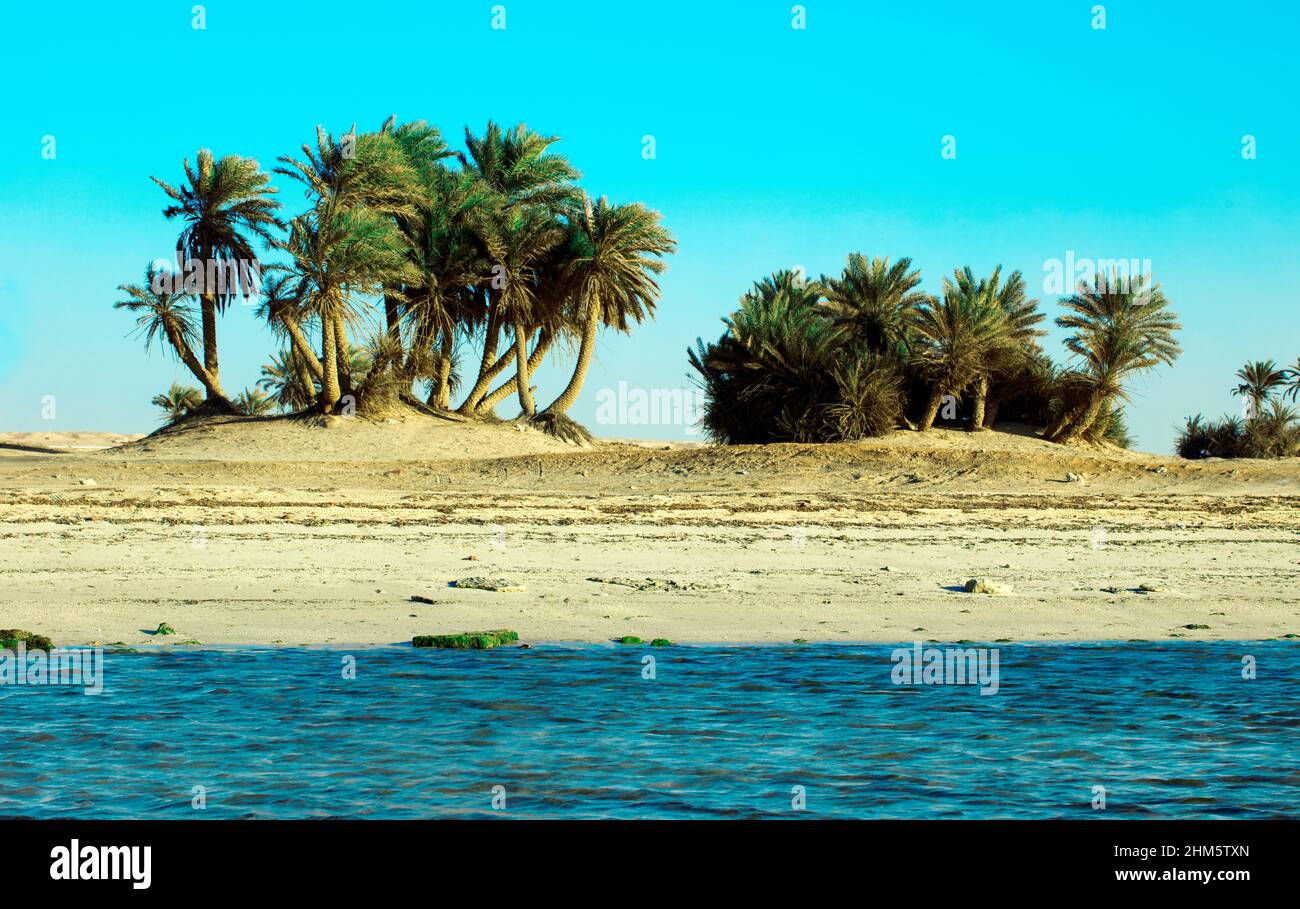 Beautifull view of Umm Bab beach QATAR Stock Photo - Alamy