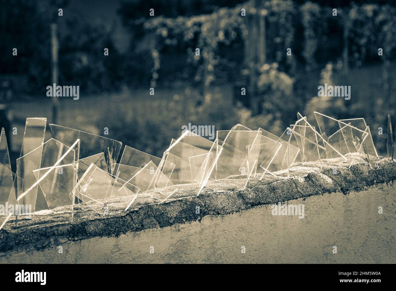 Black and white picture of a dangerous wall with broken glass shards ...