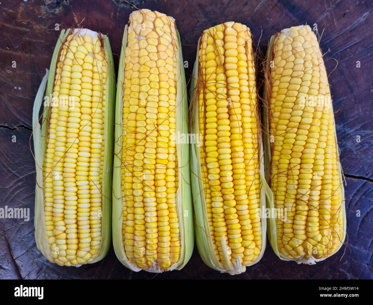 Green corn, texture background Stock Photo - Alamy