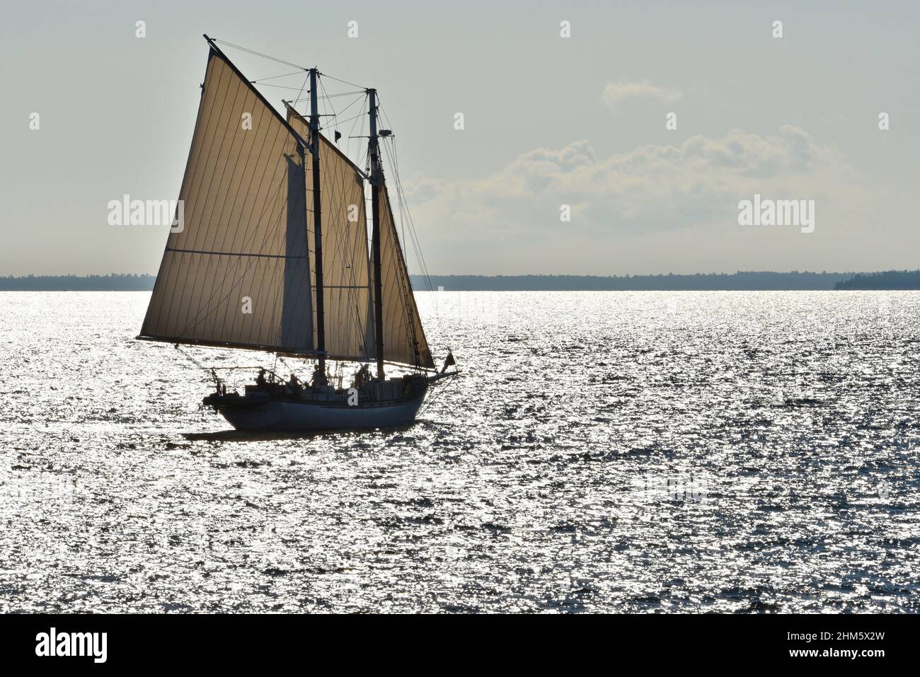 Sailboat yacht departing harbor in bright early morning on summer day ...