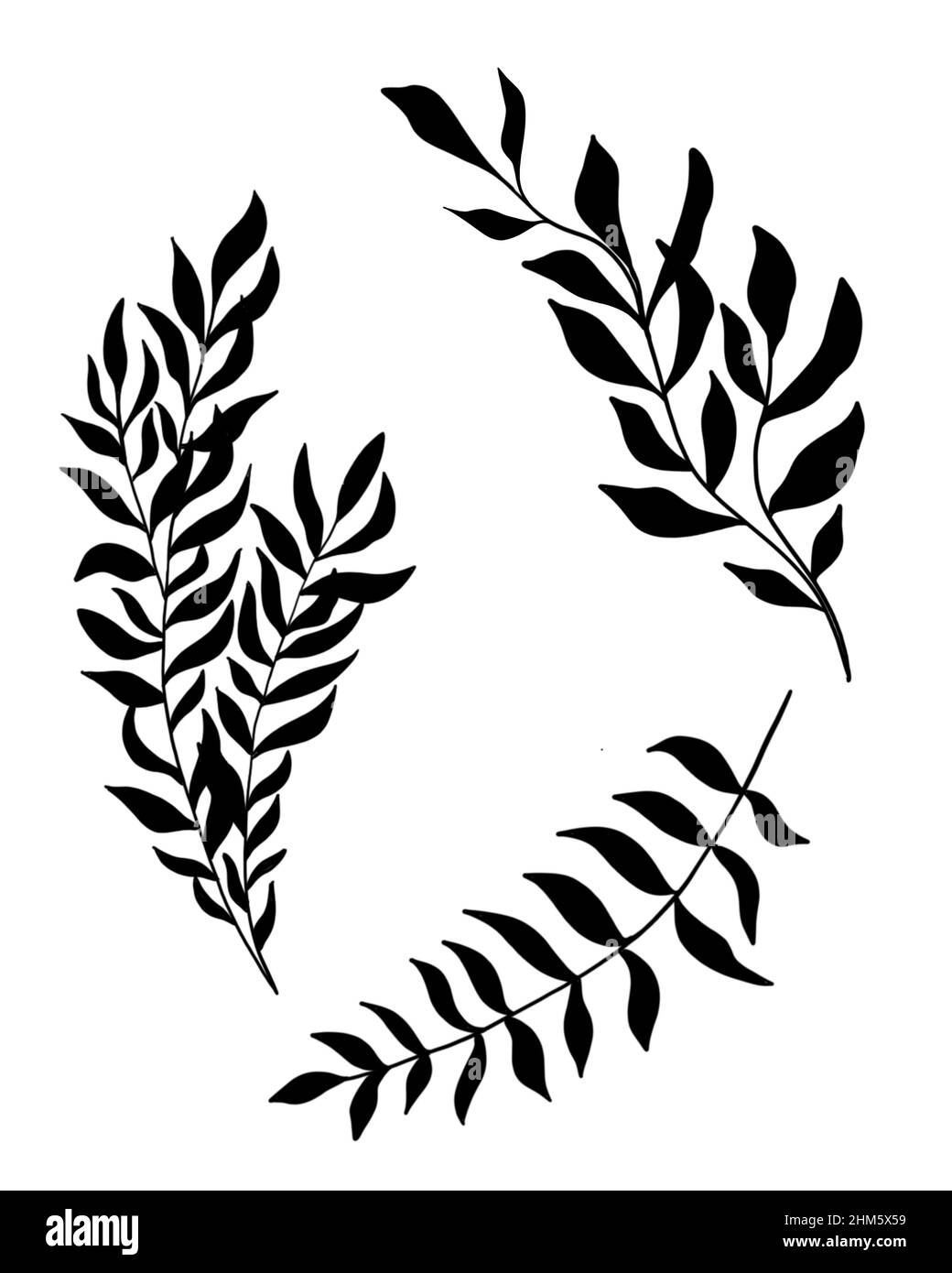 botany tattoo sketch - beautiful twig plant. Botanical element template ...