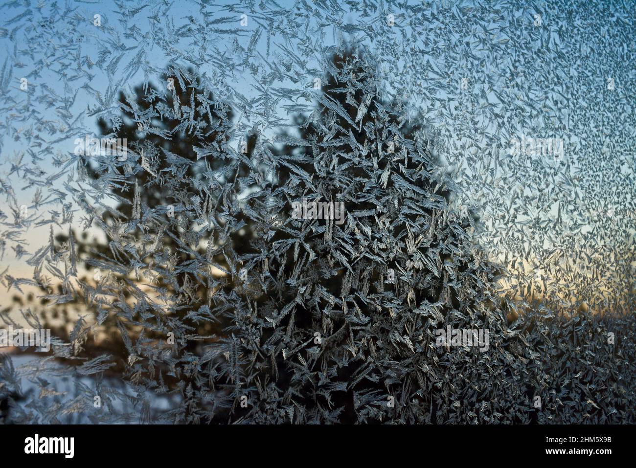 Ice crystals in window glass hi-res stock photography and images - Alamy