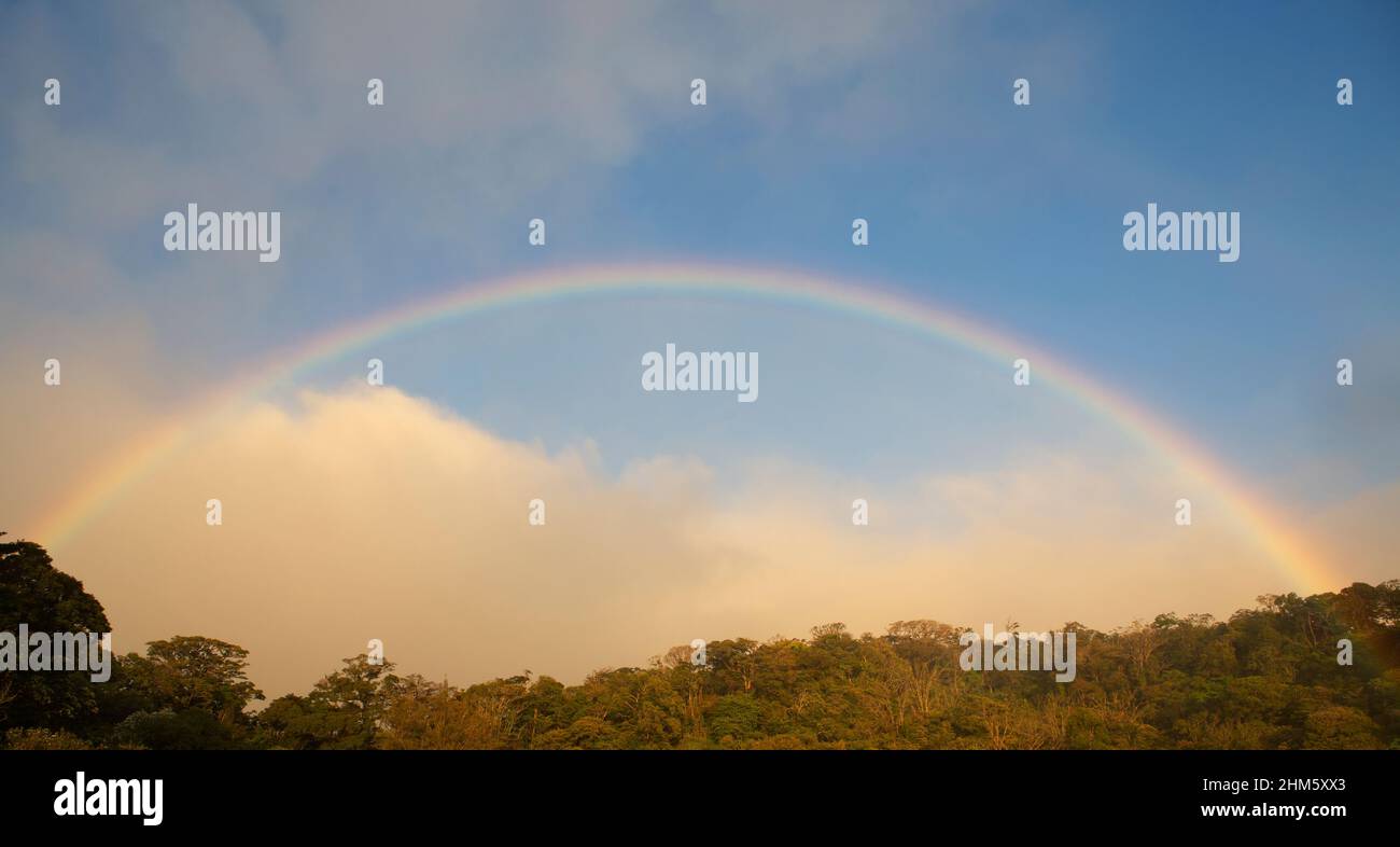 Rainbow over canopy of Monteverde Cloud Forest Reserve, Santa Elena ...