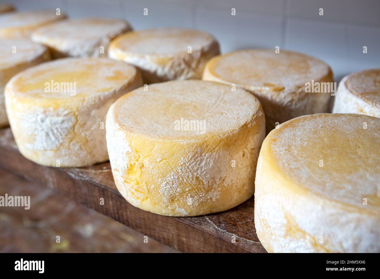Closeup of beautiful fresh artisanal cheeses at a dairy farm in Minas ...