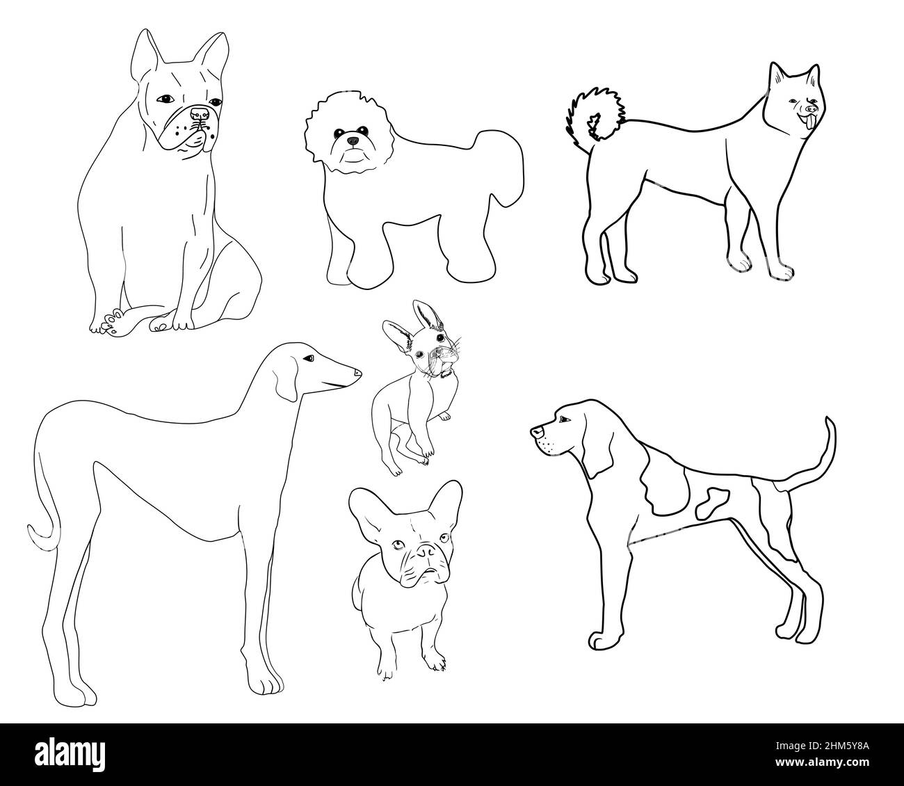 Set of dogs, line art Stock Vector Image & Art - Alamy