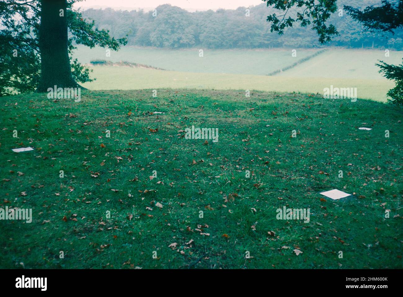 View from the top of Abinger Castle - an earthwork motte and bailey ...