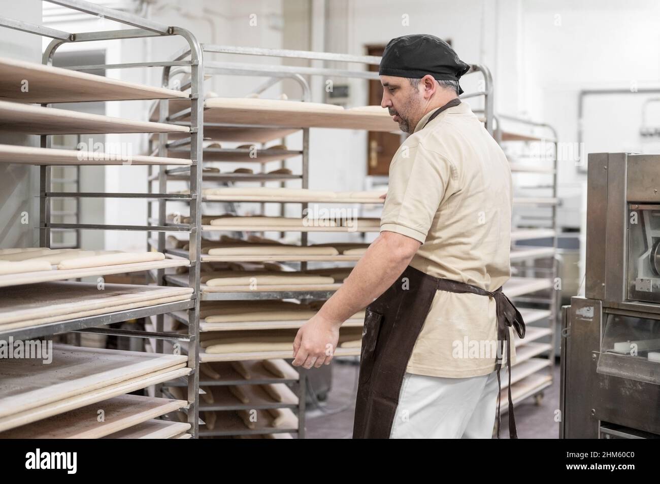 Baker placing tray with formed raw dough on rack trolley ready to bake ...