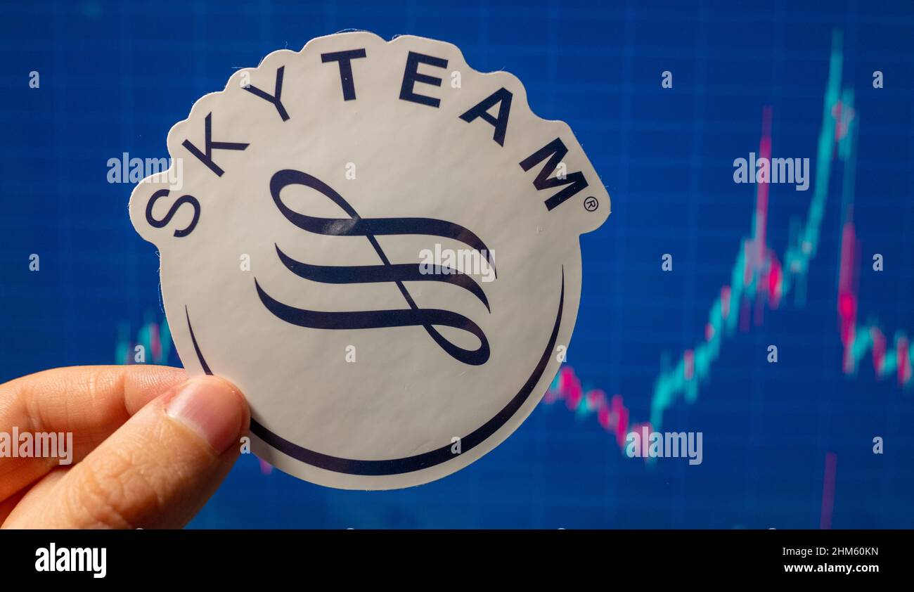 Skyteam Logo