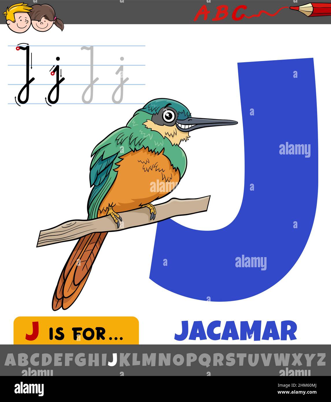 Educational cartoon illustration of letter J from alphabet with jacamar ...