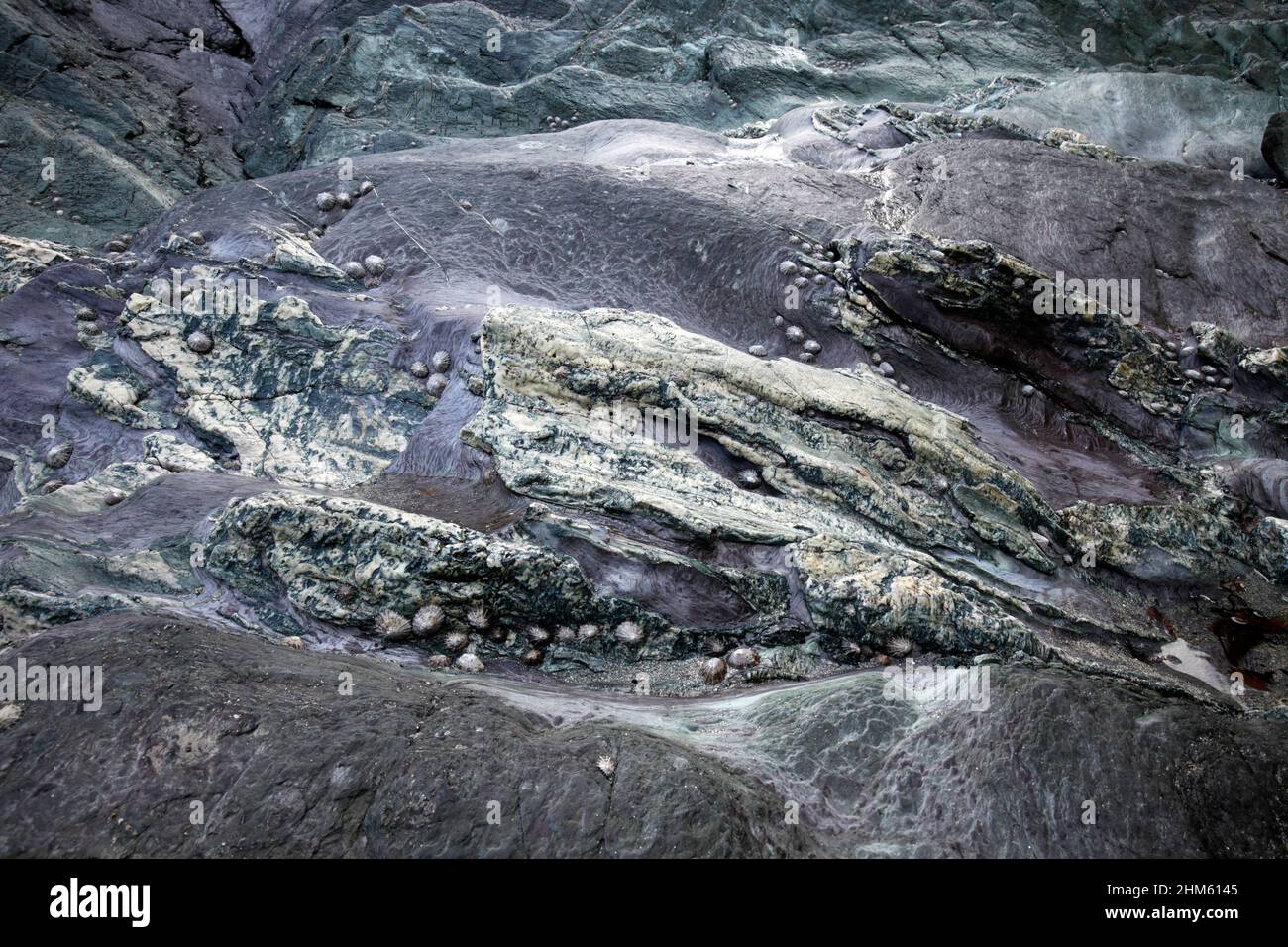 unusual coloured rocks by Polperro Harbour. Dartmouth slate from the ...