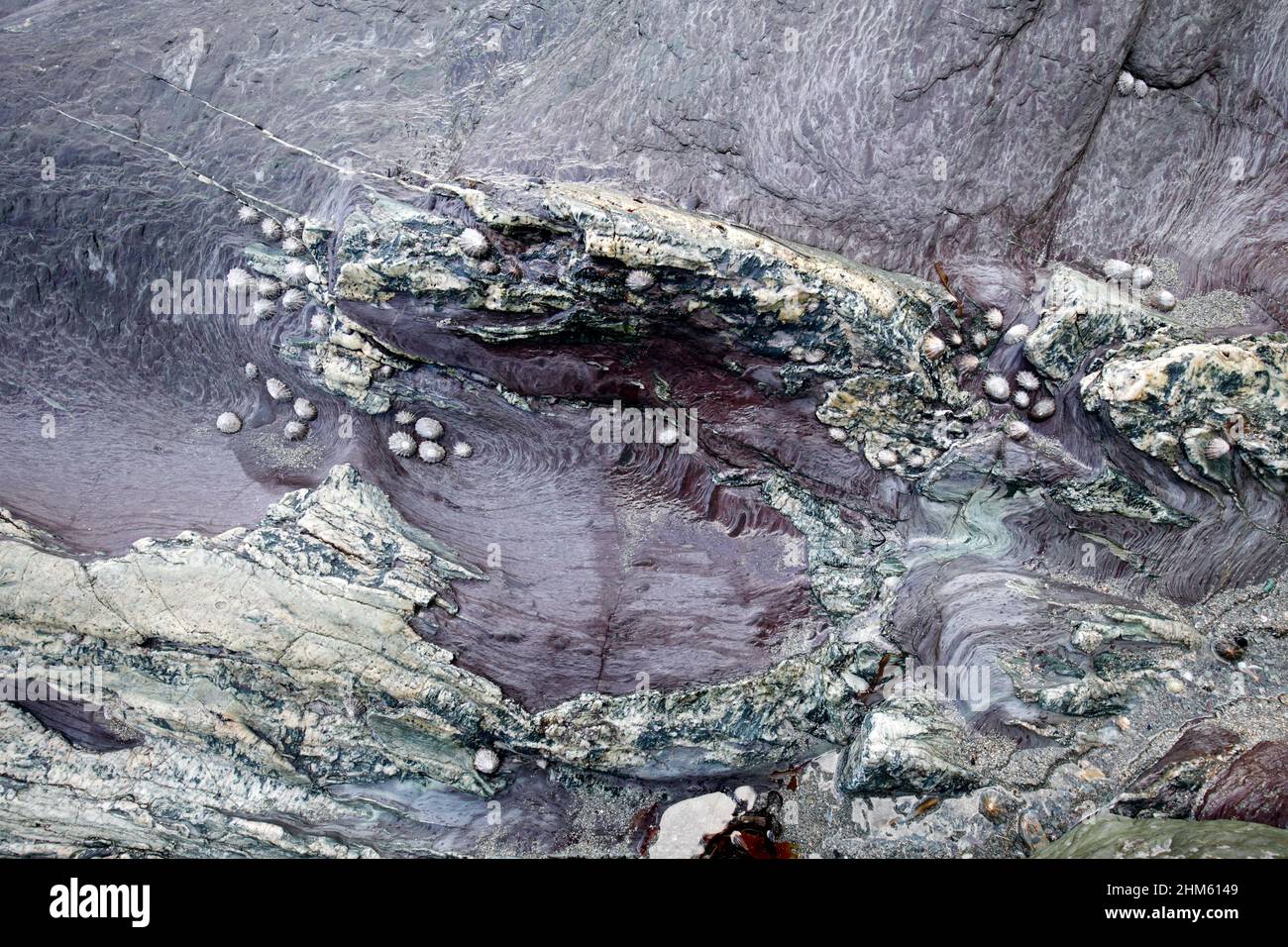 Devonian rocks hi-res stock photography and images - Alamy
