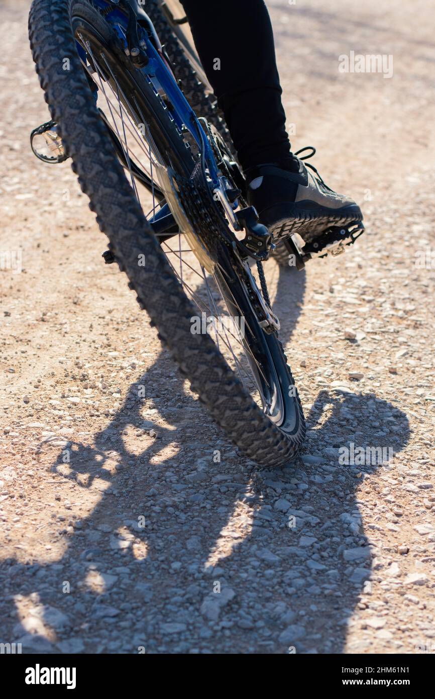 Mountain bike ride on a stone road. Close-up of the rear wheel Stock Photo - Alamy