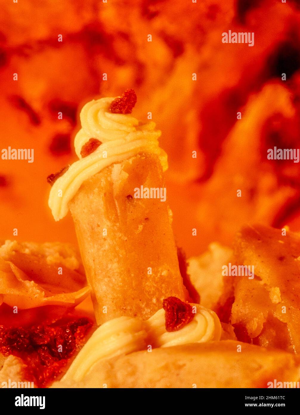 Delectable Duckunoo, duckanoo, tie-a-leaf, blue drawers dessert. Print ...