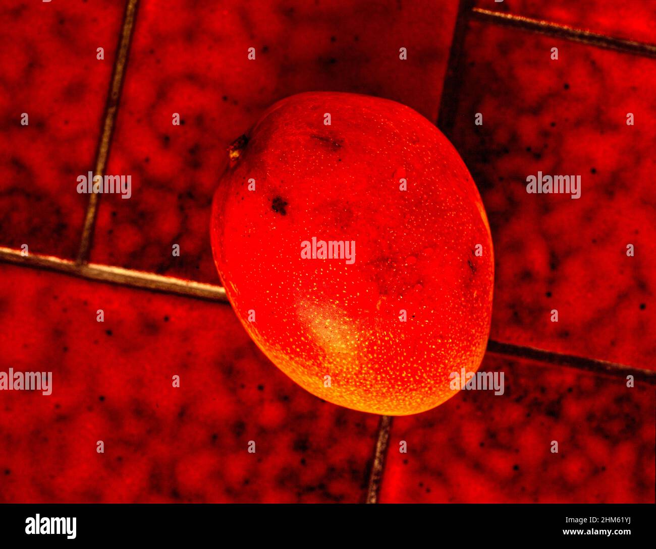 Red mango, close-up food/fruit still life Stock Photo - Alamy
