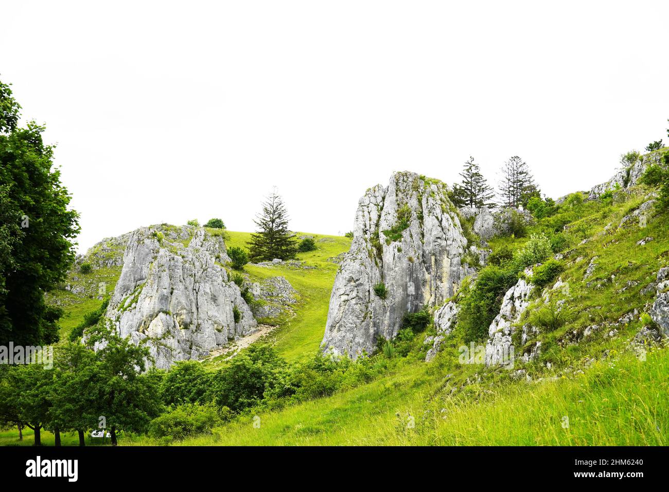 Beautiful shot of Eselsburger Tal, a nature reserve in Germany, Green ...