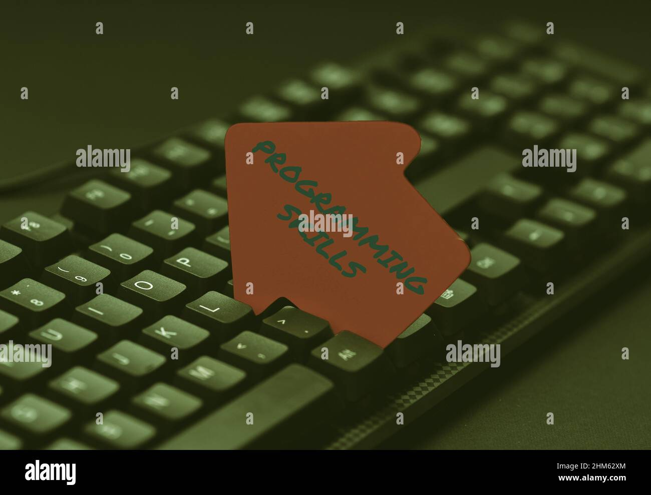 Text showing inspiration Programming Skills. Conceptual photo skills vital to write a program so ...