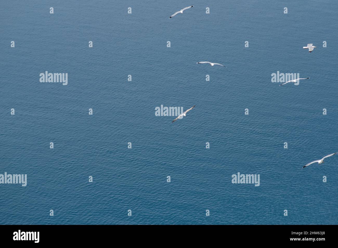 Flying hunters hi-res stock photography and images - Alamy