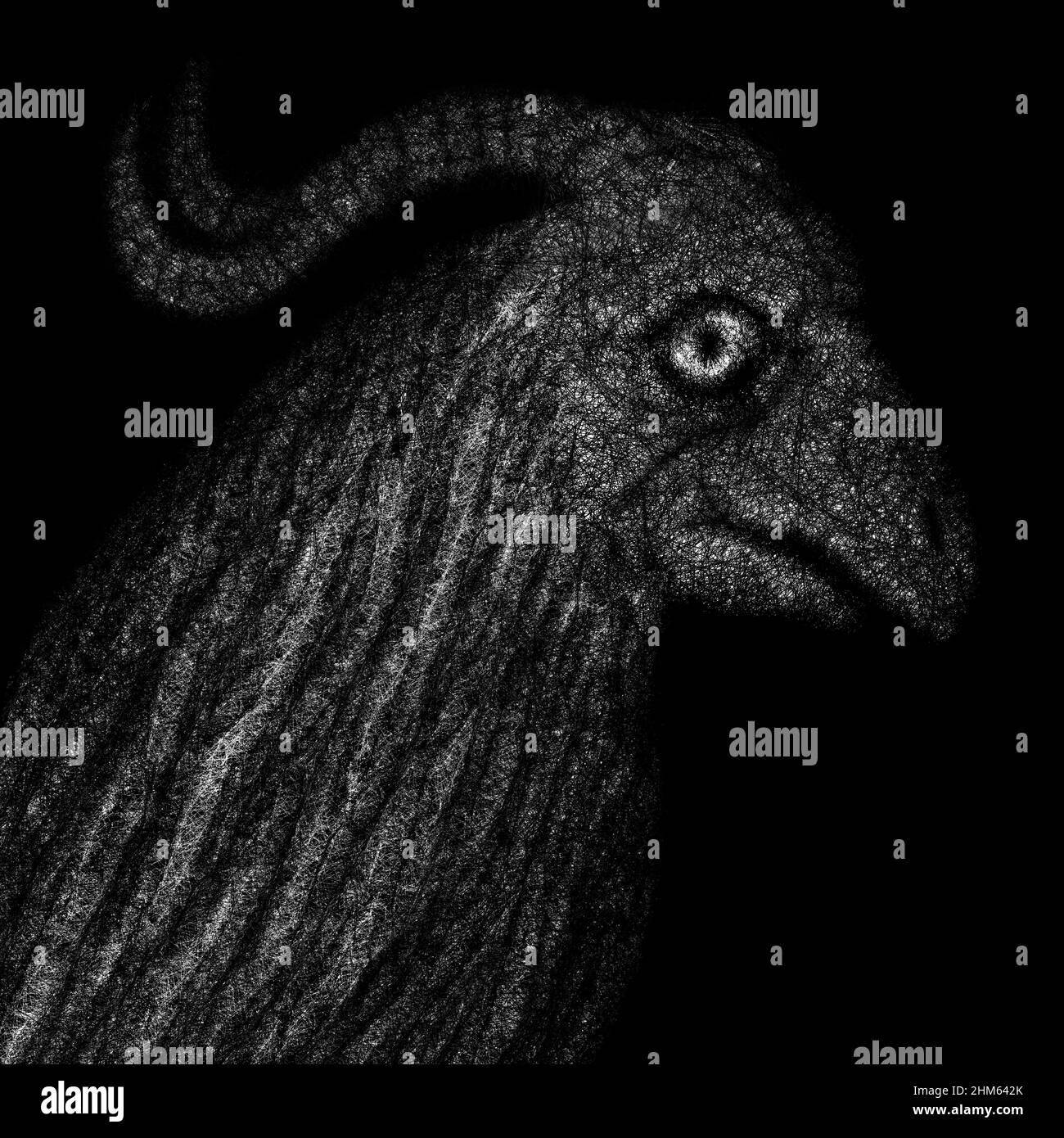 Chick of a crow or raven with horns Stock Photo - Alamy