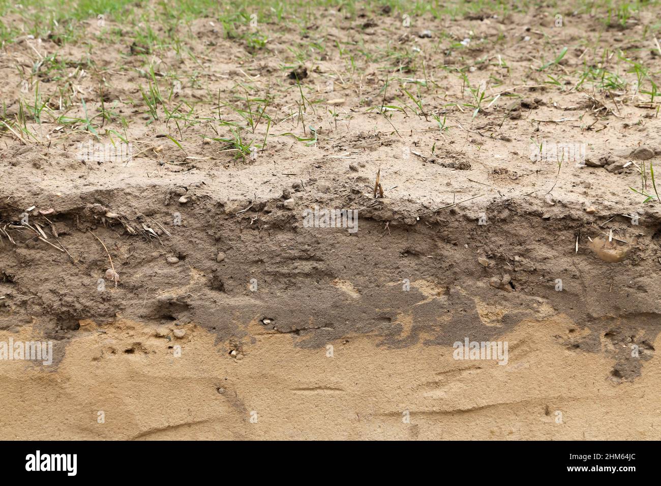Agriculture soil crop profile hi-res stock photography and images - Alamy