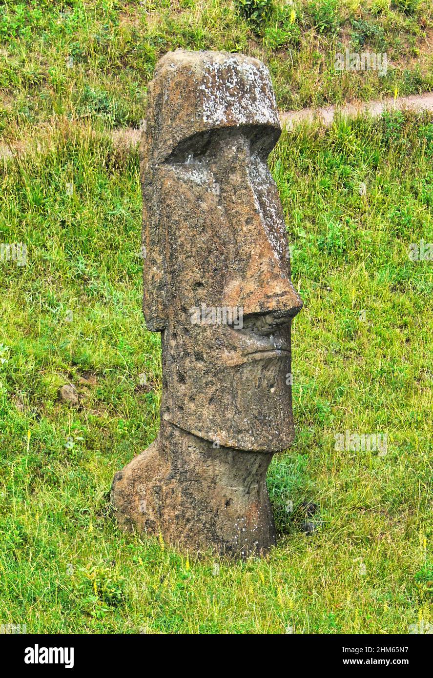Moai statues in the Rano Raraku Volcano in Easter Island, Rapa Nui ...