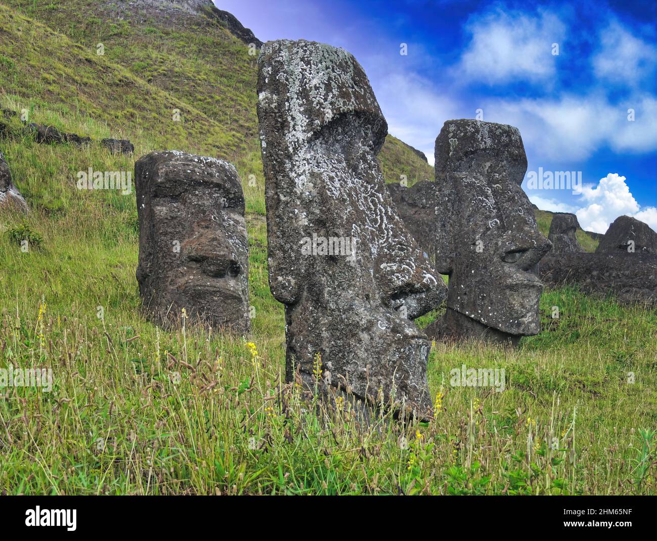 Moai statues in the Rano Raraku Volcano in Easter Island, Rapa Nui ...