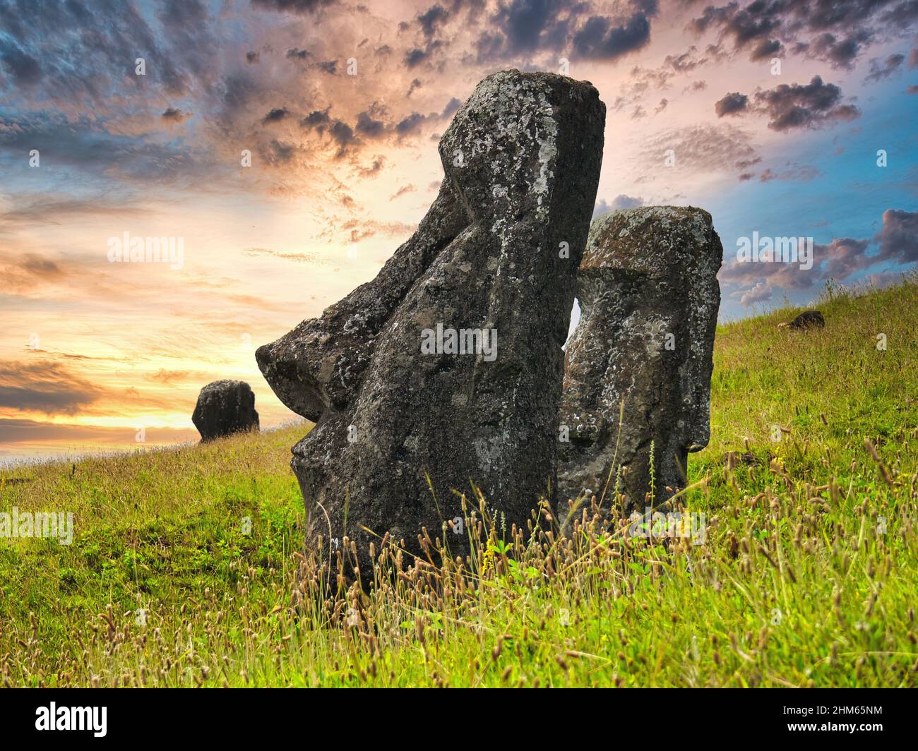 Moai statues in Easter Island illuminated by a dramatic sunset Stock ...