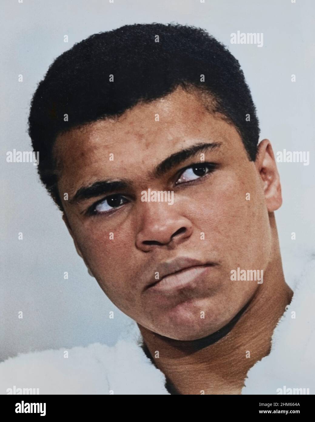 World Champion boxer Muhammad Ali / Cassius Clay, 1967, bust portrait, Rosenberg, Ira, 1916-2016 ...
