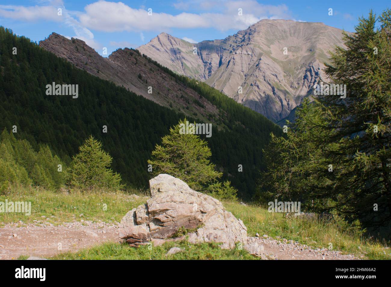 Beautiful view of a landscape with trees under the blue sky Stock Photo ...