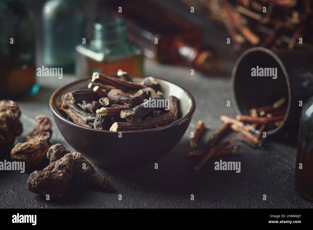 Black bowl of Common comfrey or symphytum officinale roots. Dried ...