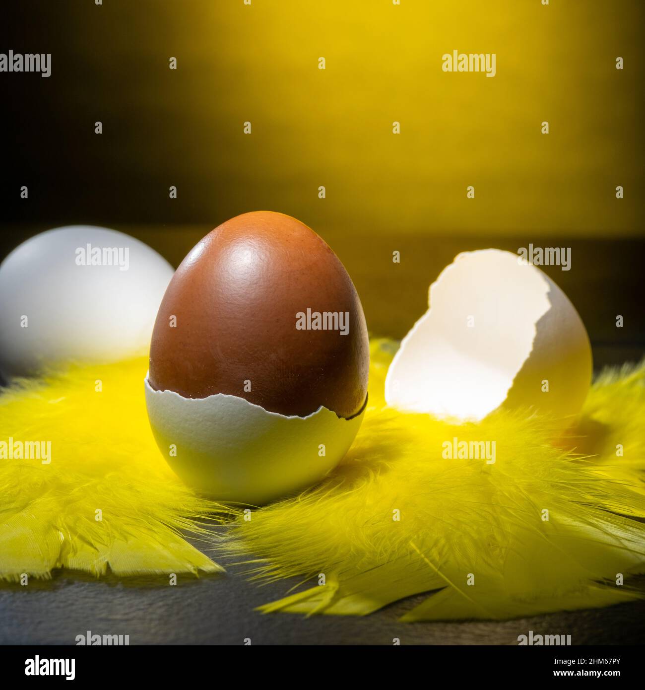 Finland easter egg hi-res stock photography and images - Alamy