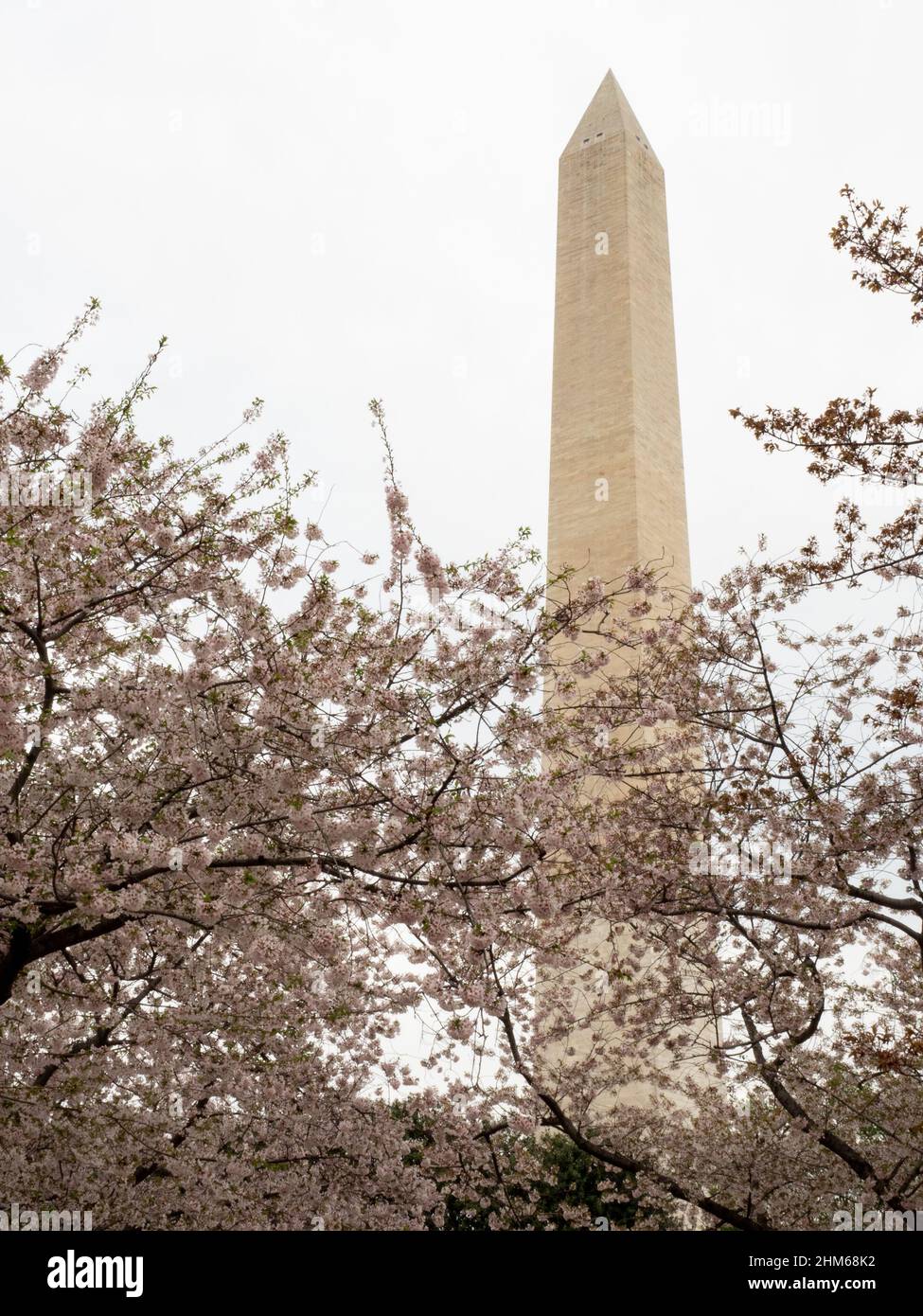 Tallest monumental column hi-res stock photography and images - Alamy