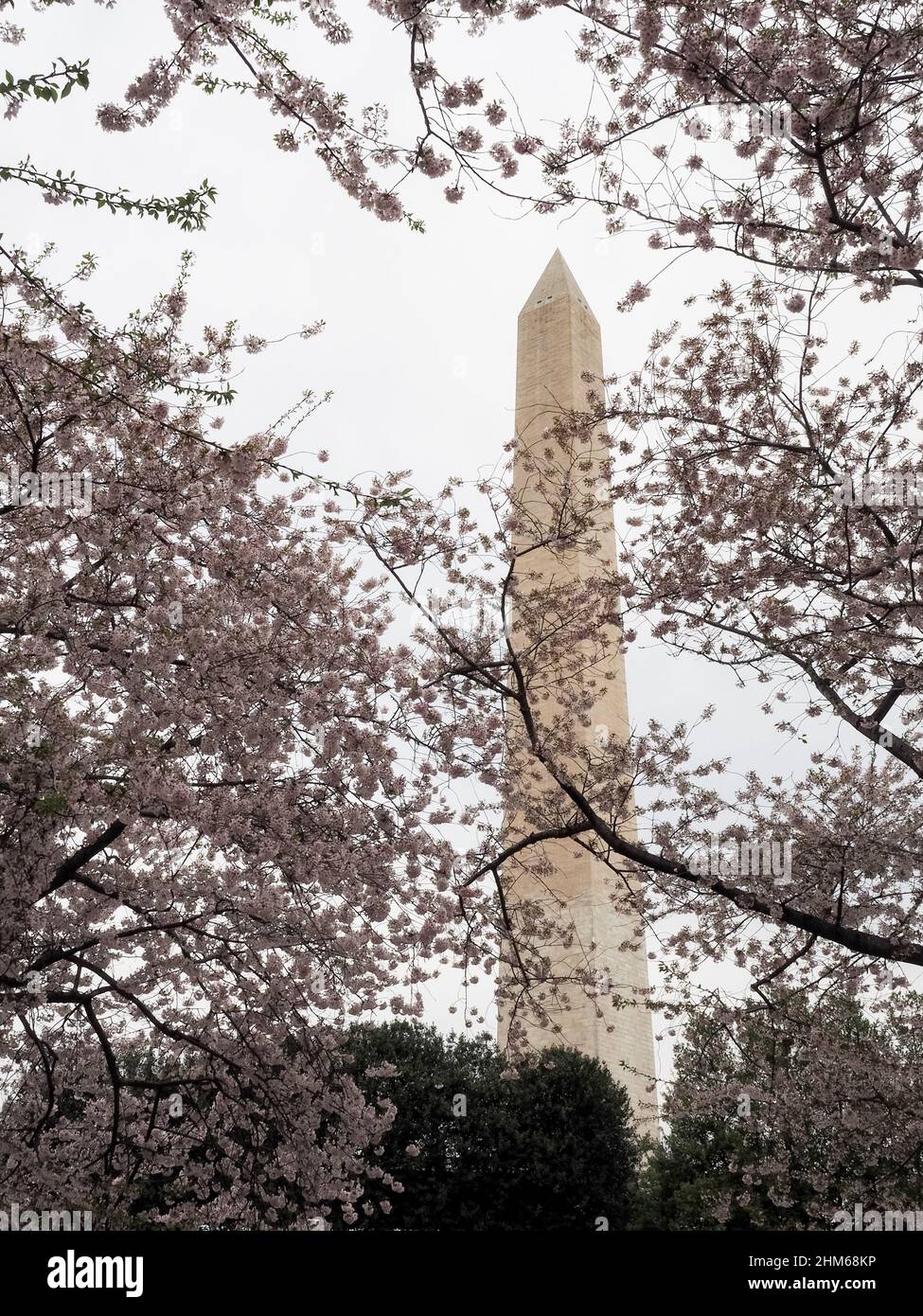 Tallest monumental column hi-res stock photography and images - Alamy