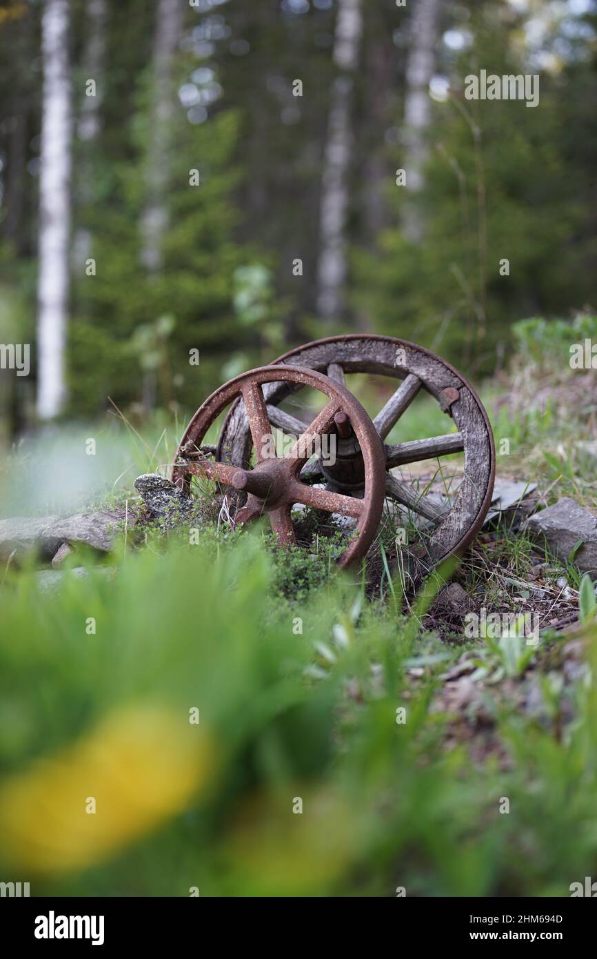 Old rusty wheels in the forest Stock Photo - Alamy