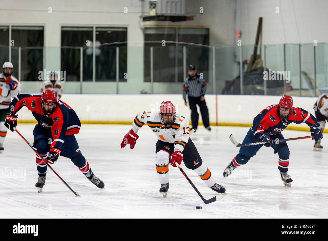 Panthers ice den hi-res stock photography and images - Alamy