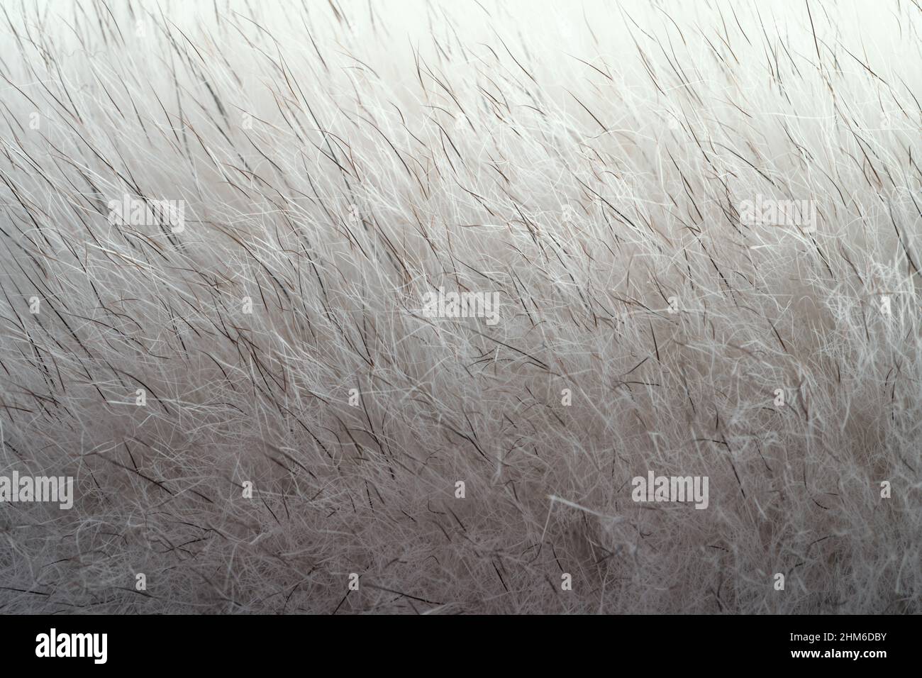 Fabric texture background soft furry hi-res stock photography and ...