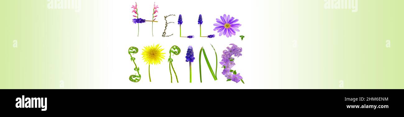 Hello spring.Floral letters on white background with green gradient ...